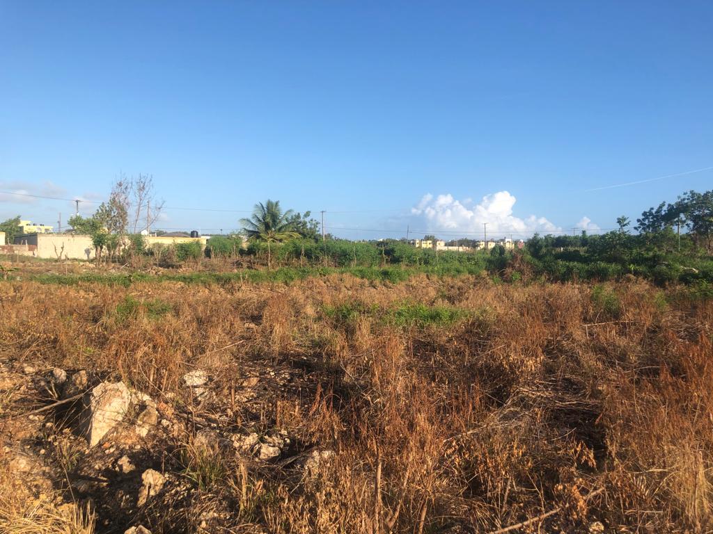 Comunitarios del sector Invidorex denuncian alarmados auge de ...